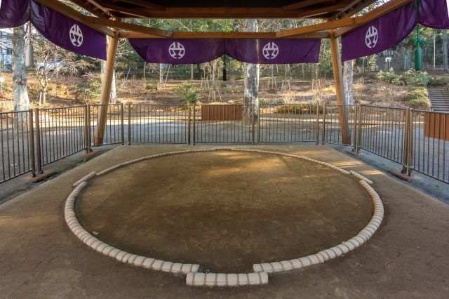 A Beginner's Guide to Sumo: An Easy Breakdown of the Basics and all the ...