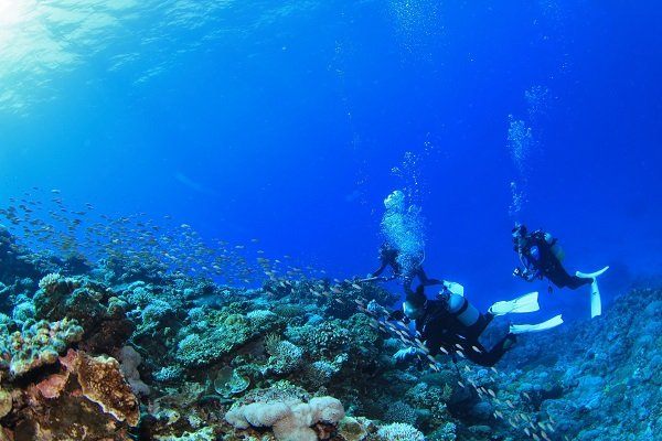 Miyakojima! Recommended beach spots and surrounding islands. | GOOD ...