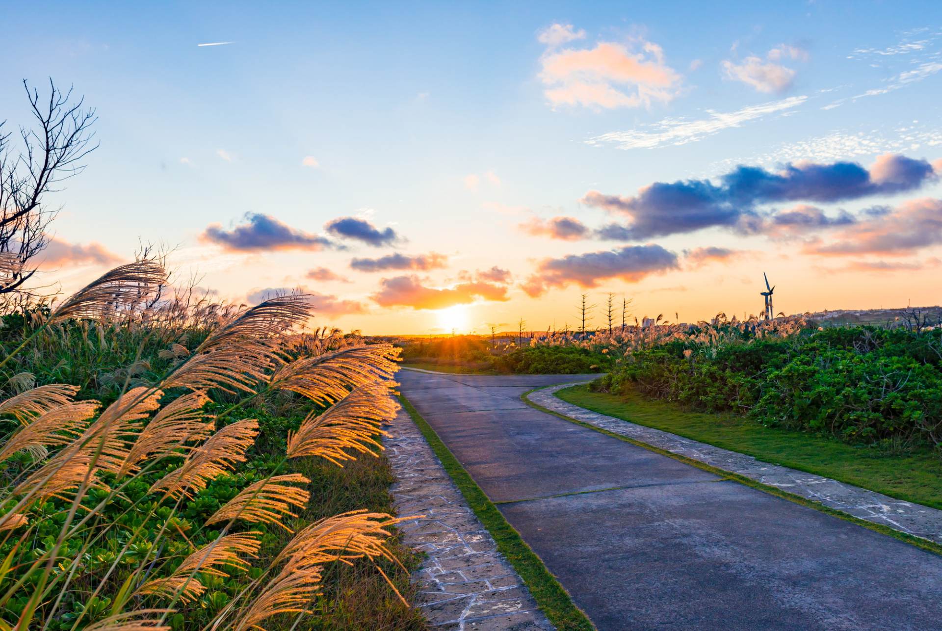 Okinawa’s Climate [Sightseeing in Okinawa, from Okinawan Locals] | GOOD ...