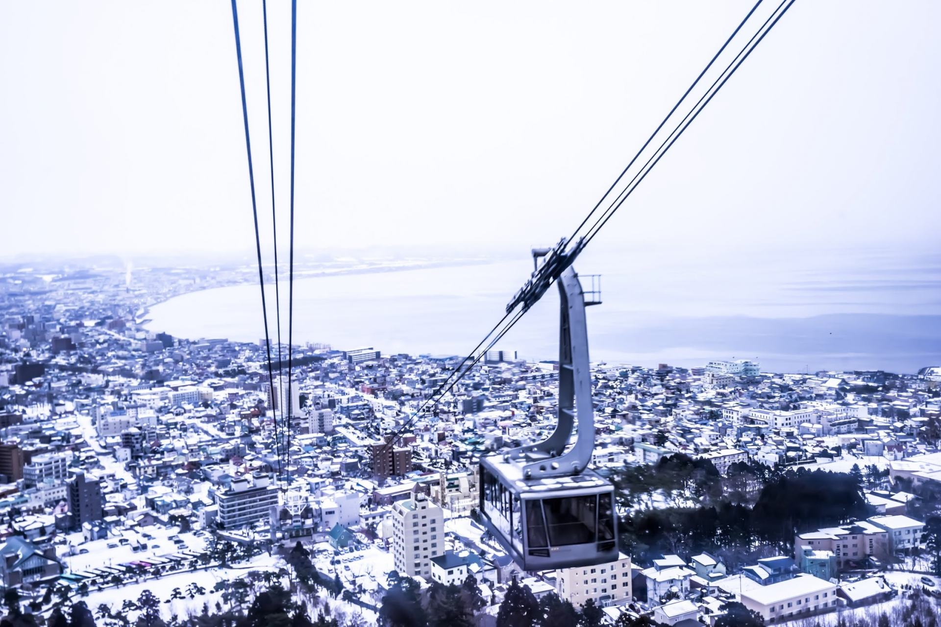 Winter Trip to Hakodate [Day 2] ~Goryokaku, Hakodate City Tropical ...