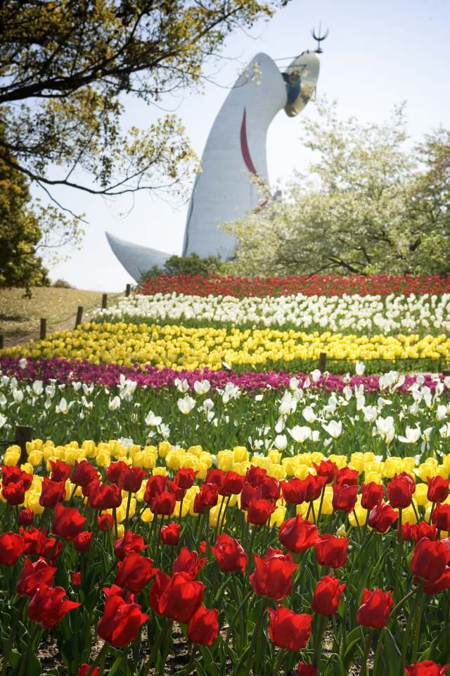 [Special Issue!!] Osaka Expo ’70 Commemorative Park, Where You Can ...