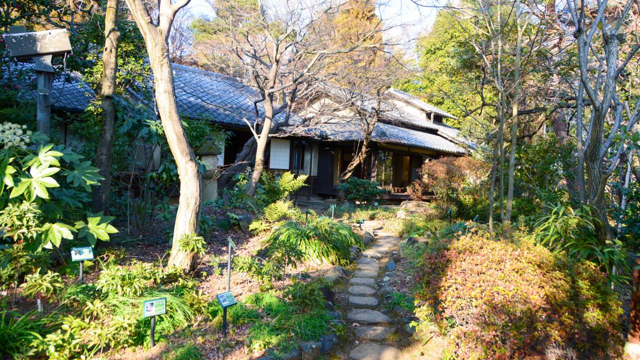 41 Things to Do in Shinjuku, Tokyo | GOOD LUCK TRIP