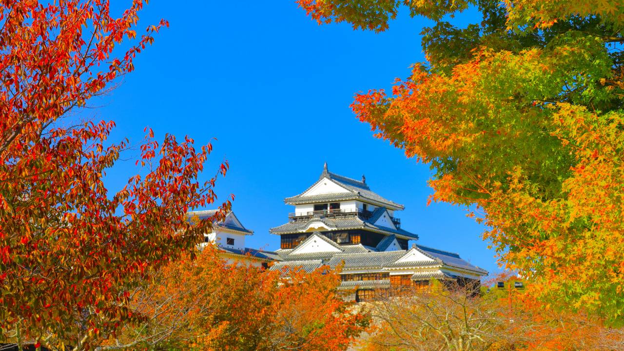 The comprehensive guide to Matsuyama. Learn about famous spots and ...