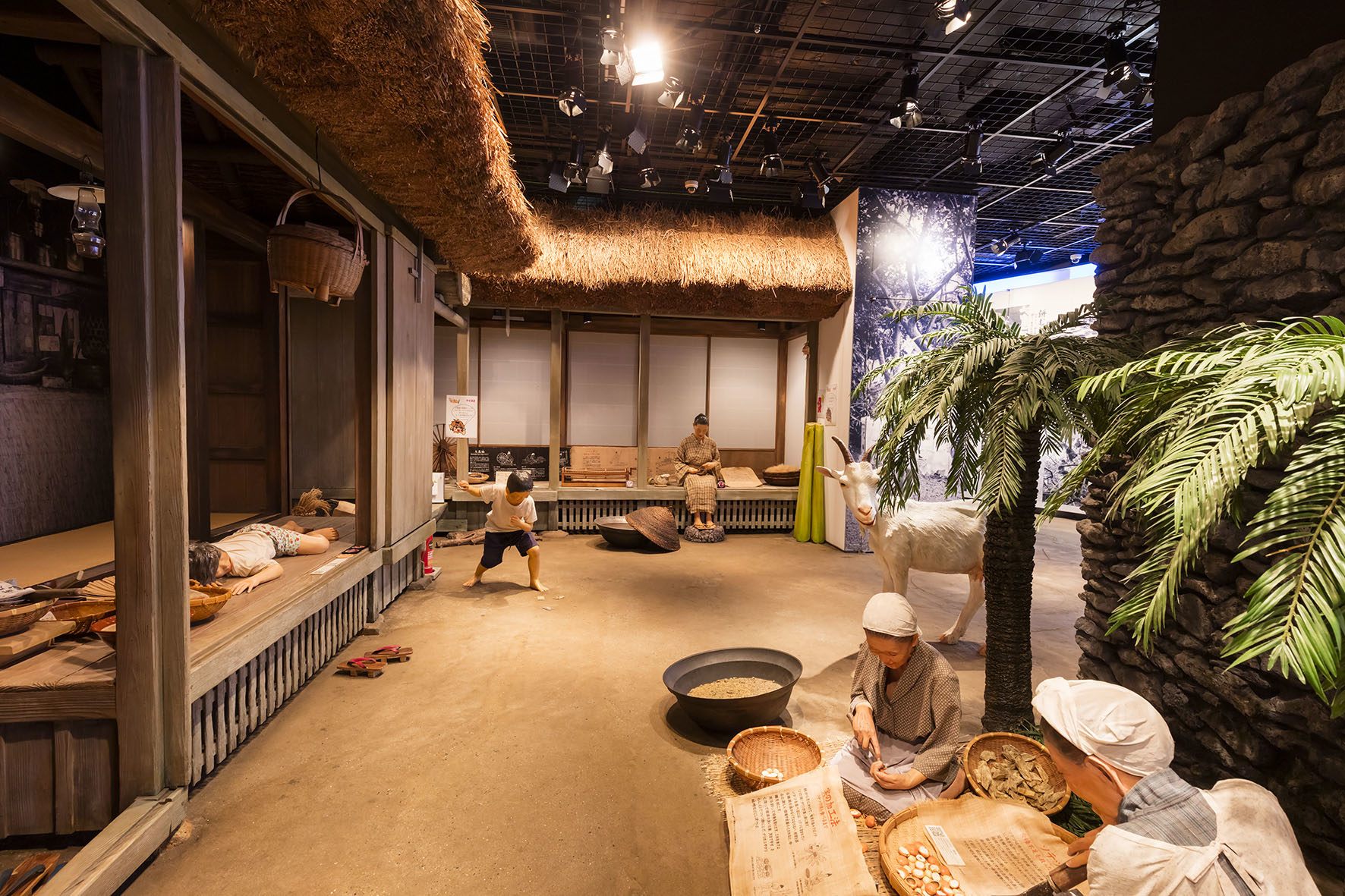 The deep-rooted traditional culture of Amami Oshima | GOOD LUCK TRIP