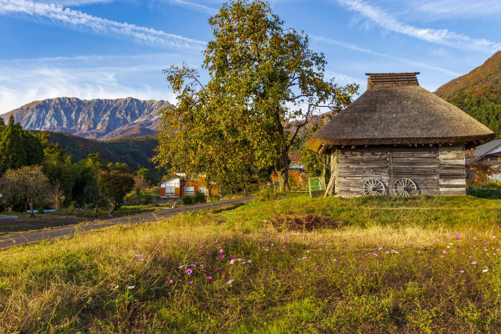 20 Things to Do in Tottori | GOOD LUCK TRIP