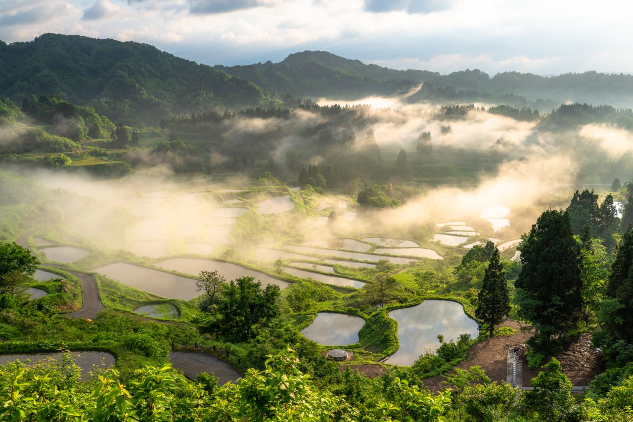 【新潟推薦景點總整理】溫泉、滑雪、美食和美酒！新潟必去景點23選！ | 好運日本行
