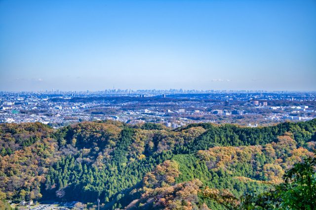 Foliage guide at Mount Takao: The foliage hiking guide to fully enjoy ...