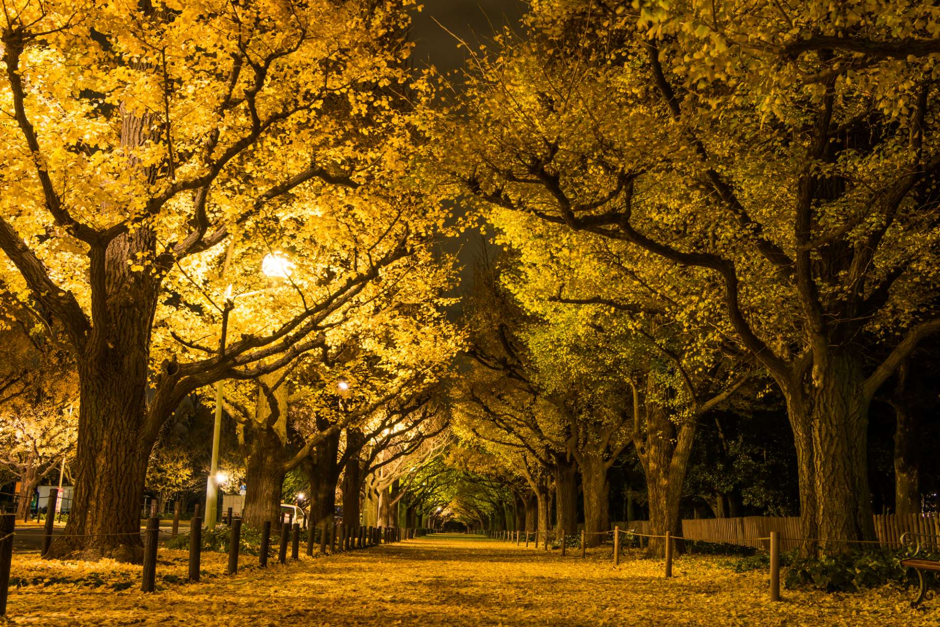 Discover the Best Spots for Autumn Foliage: a Guide to Enjoying Fall ...