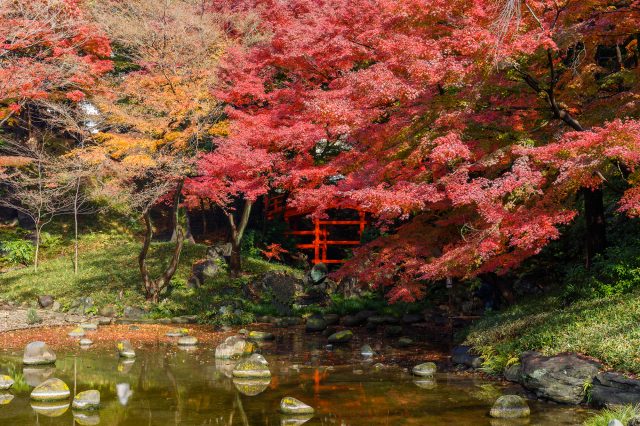 Discover the Best Spots for Autumn Foliage: a Guide to Enjoying Fall ...