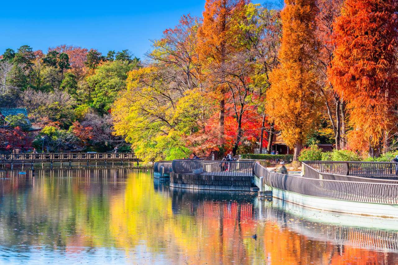Discover the Best Spots for Autumn Foliage: a Guide to Enjoying Fall ...
