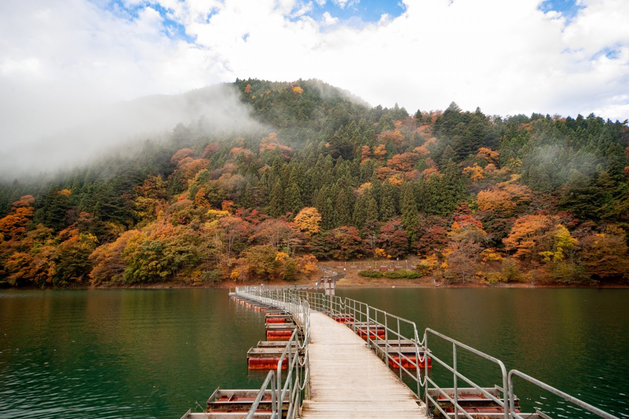 Discover the Best Spots for Autumn Foliage: a Guide to Enjoying Fall ...