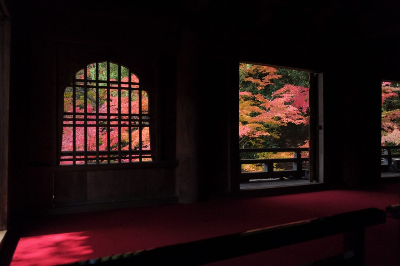 Discovering Japan's Roots: Eigen-ji Temple and Mandokoro Tea Experience ...