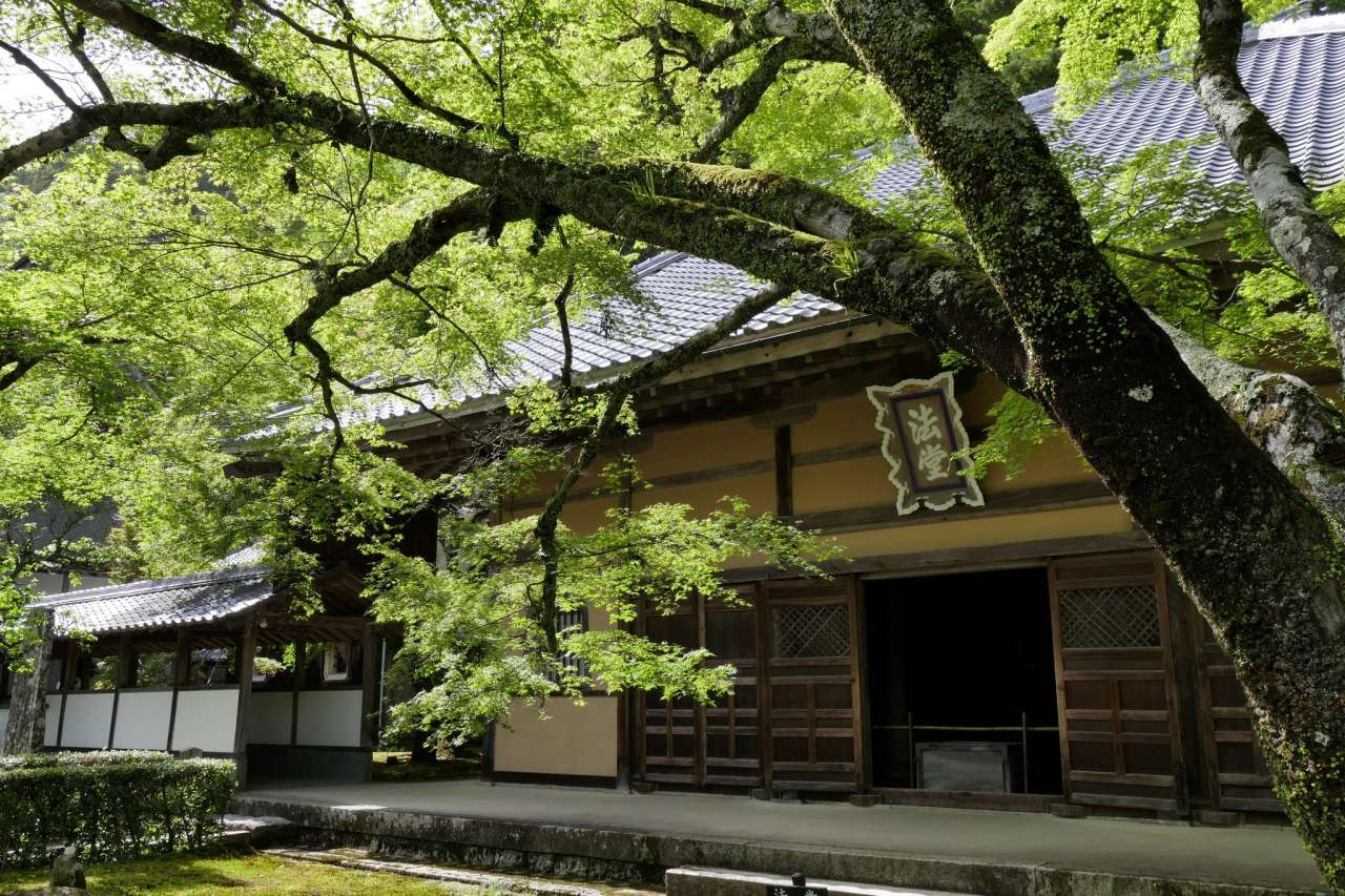 Discovering Japan's Roots: Eigen-ji Temple and Mandokoro Tea Experience ...