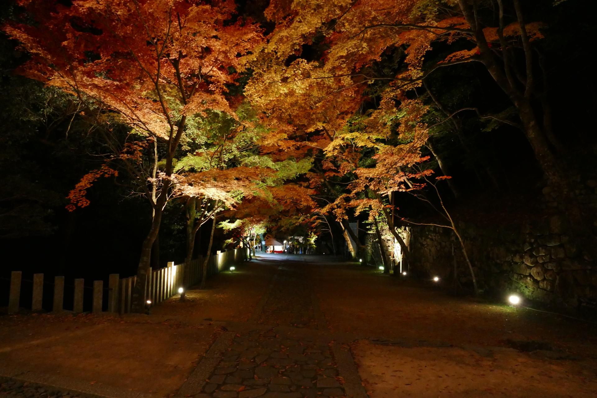 Discovering Japan's Roots: Eigen-ji Temple and Mandokoro Tea Experience ...
