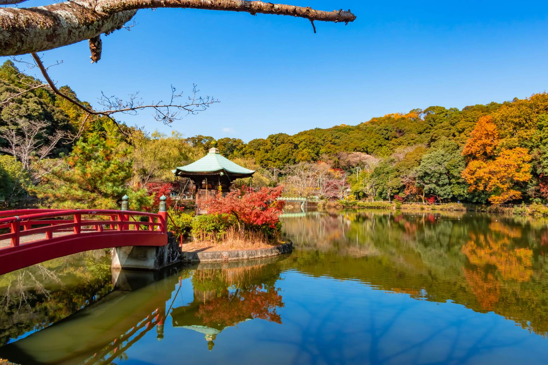 日本の歴史と風情を感じられる名古屋の紅葉名所7選 | GOOD LUCK TRIP