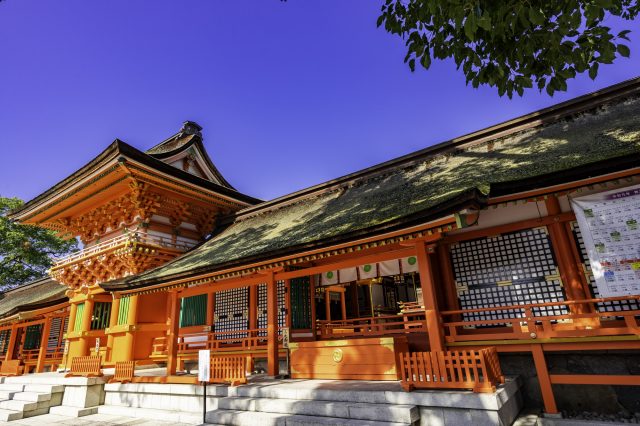 温泉だけじゃない！多様な魅力を遊び尽くす大分旅行ガイド | GOOD LUCK TRIP