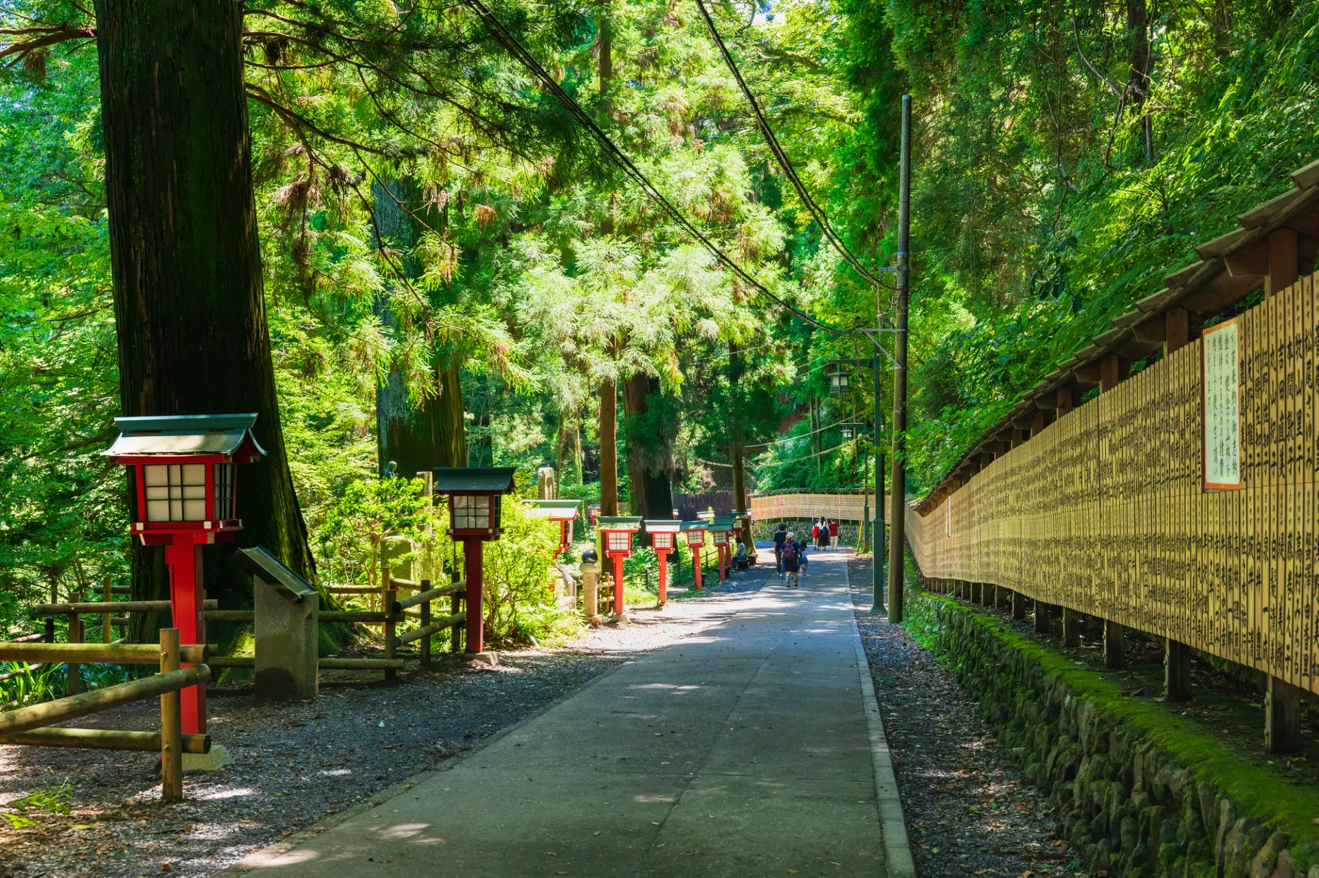 Mt. Takao Hiking Trail Guide: Difficulty, Duration, and Highlights ...