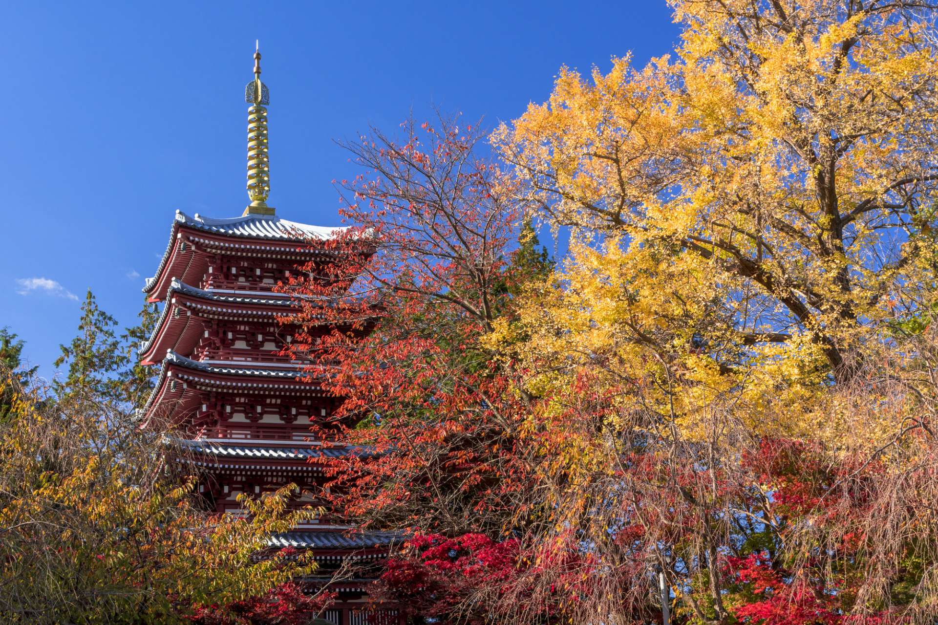 Hondoji Temple - Must-See, Access, Hours & Price | GOOD LUCK TRIP
