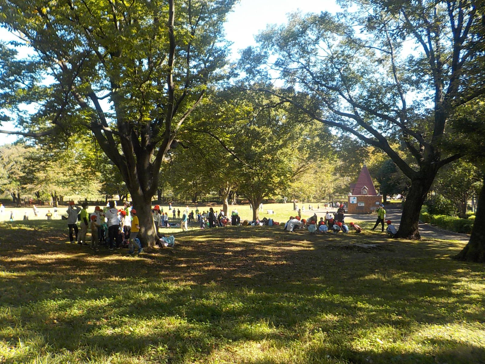 Soshigaya Park - Must-See, Access, Hours & Price | GOOD LUCK TRIP