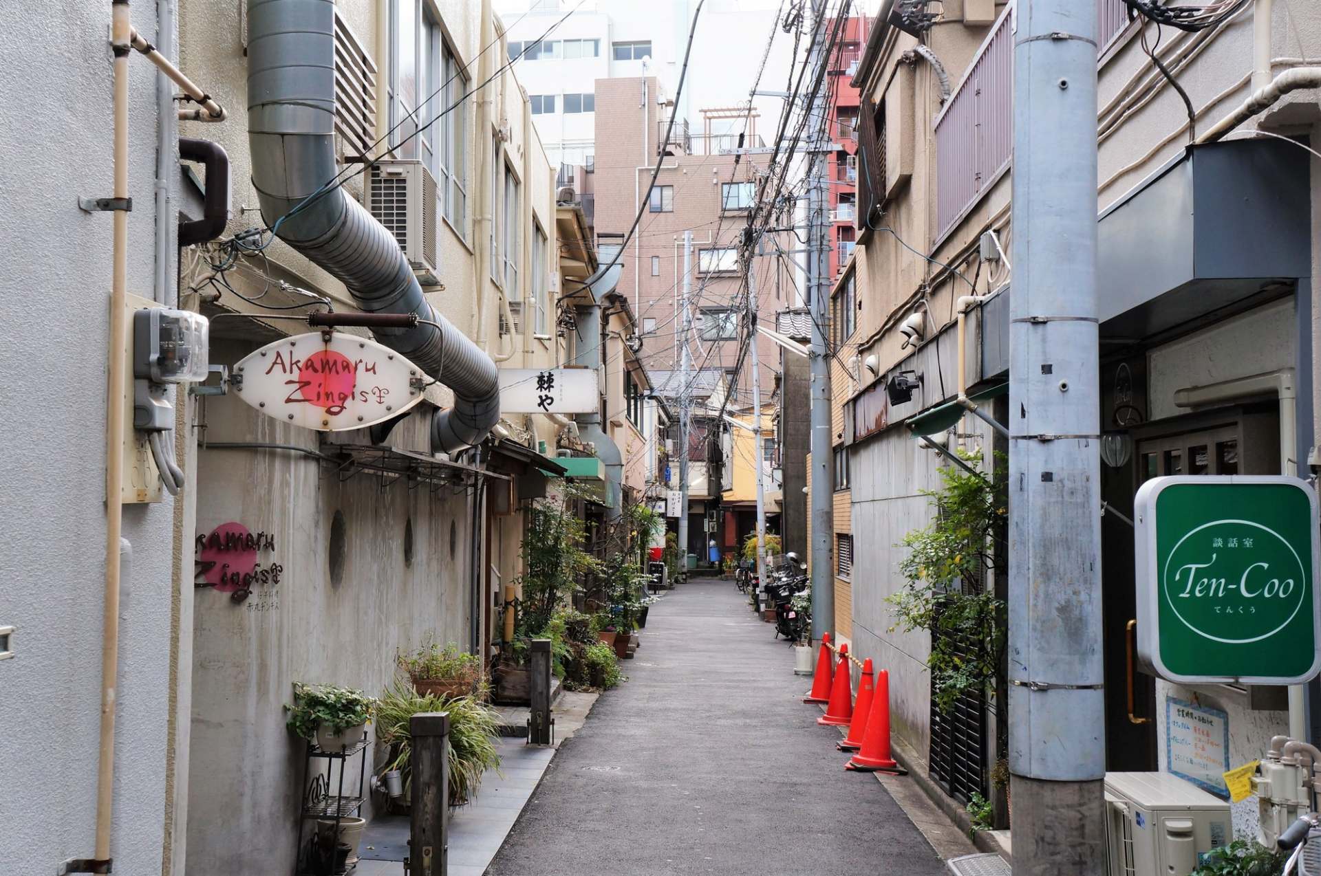 The Yotsuya Araki-cho Area - Must-See, Access, Hours & Price | GOOD ...