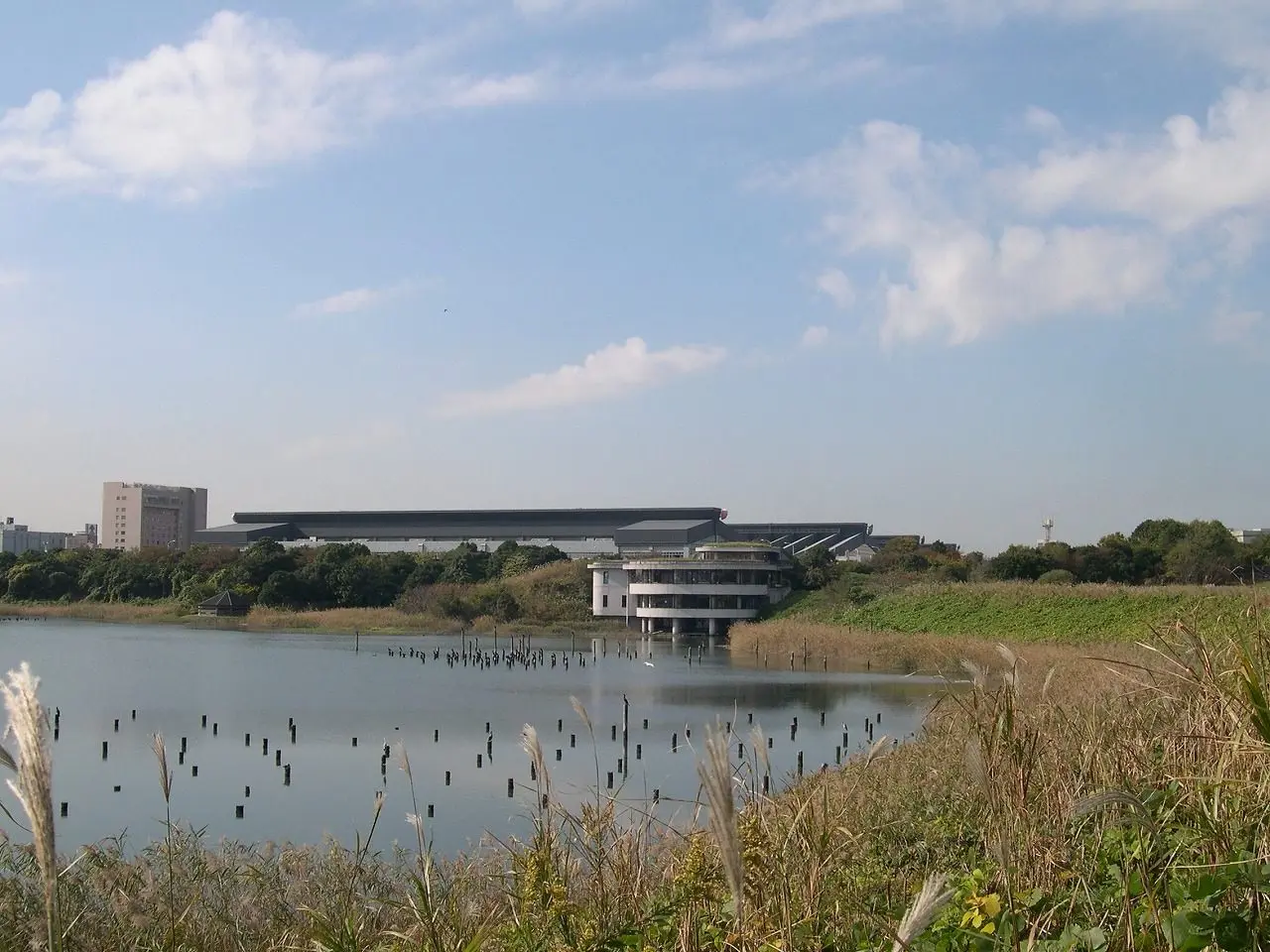 Tokyo Port Wild Bird Park - Must-See, Access, Hours & Price | GOOD LUCK ...