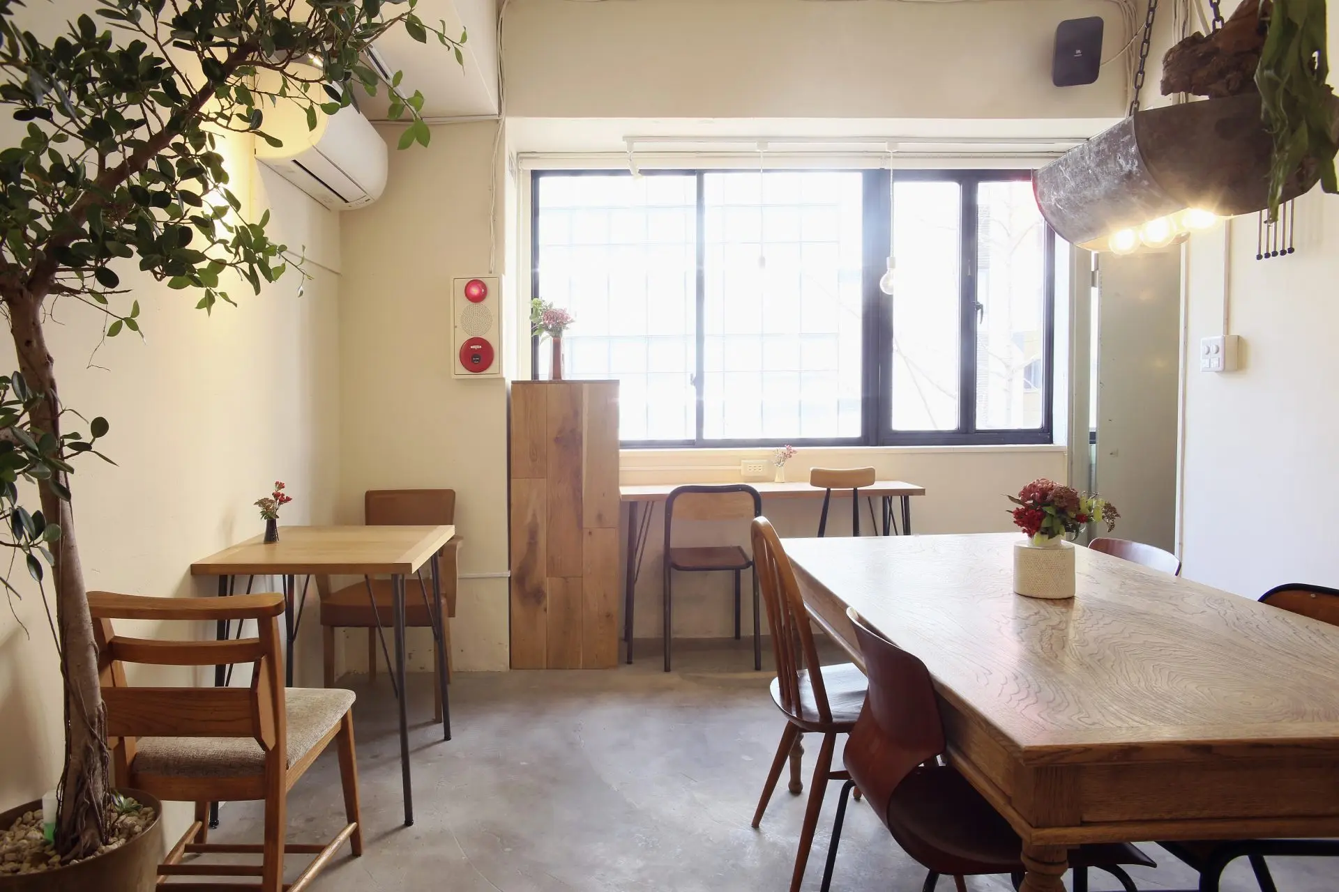 MOVE CAFÉ - What to Eat, Access, Hours & Price | GOOD LUCK TRIP