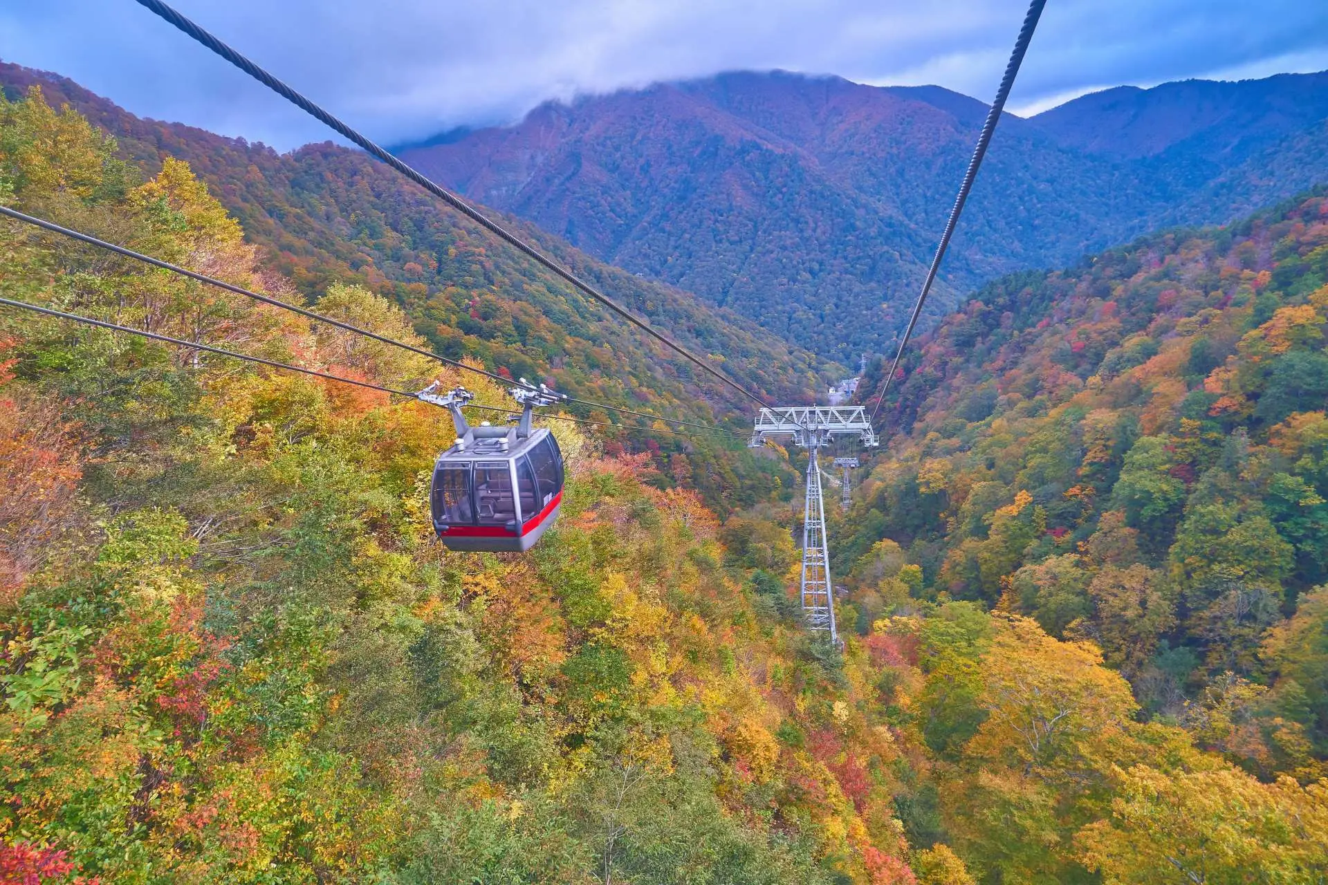 Mt.Tanigawa (Tanigawadake) - Must-See, Access, Hours & Price | GOOD ...