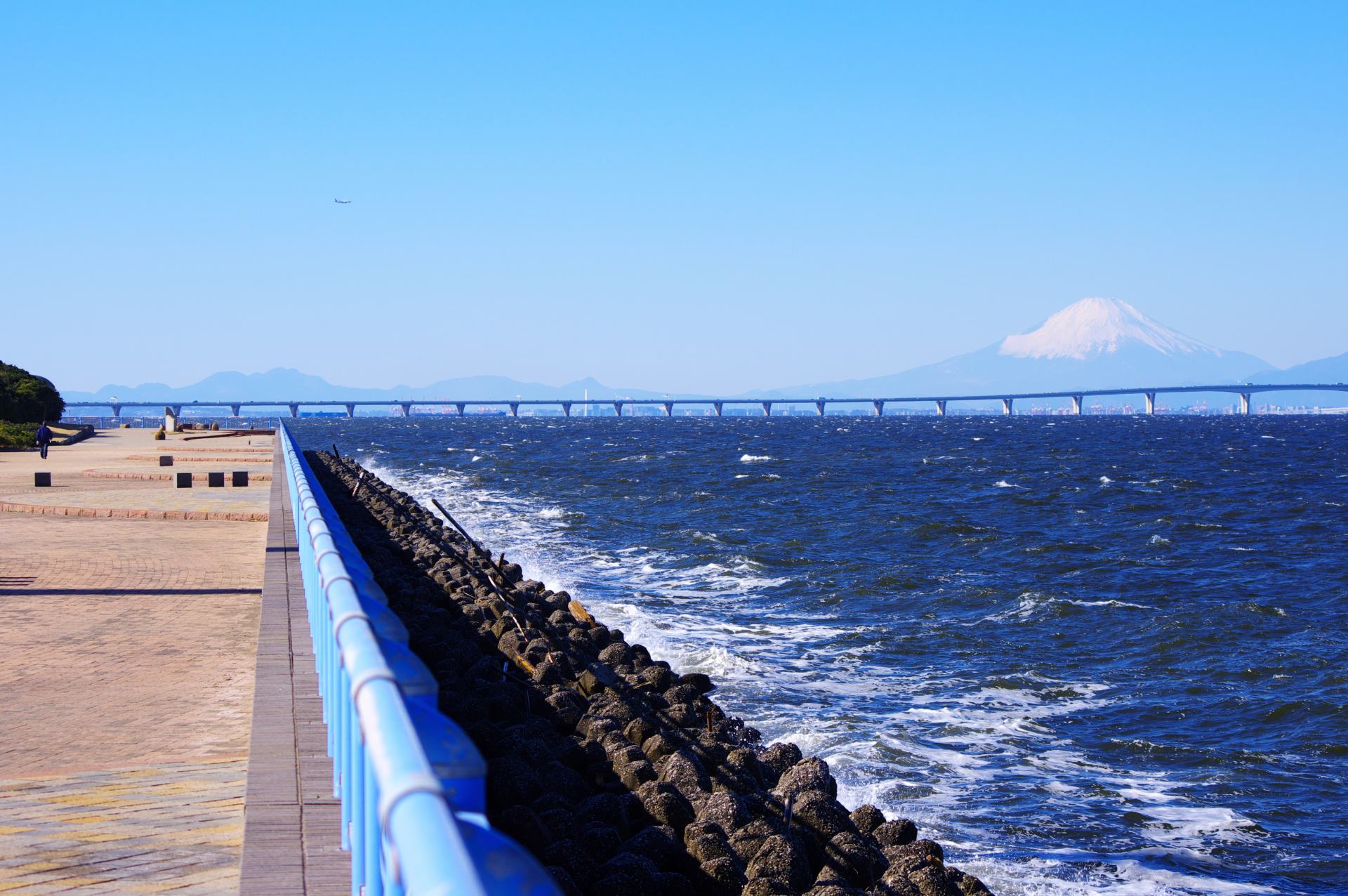 Sodegaura Seaside Park - Must-See, Access, Hours & Price | GOOD LUCK TRIP