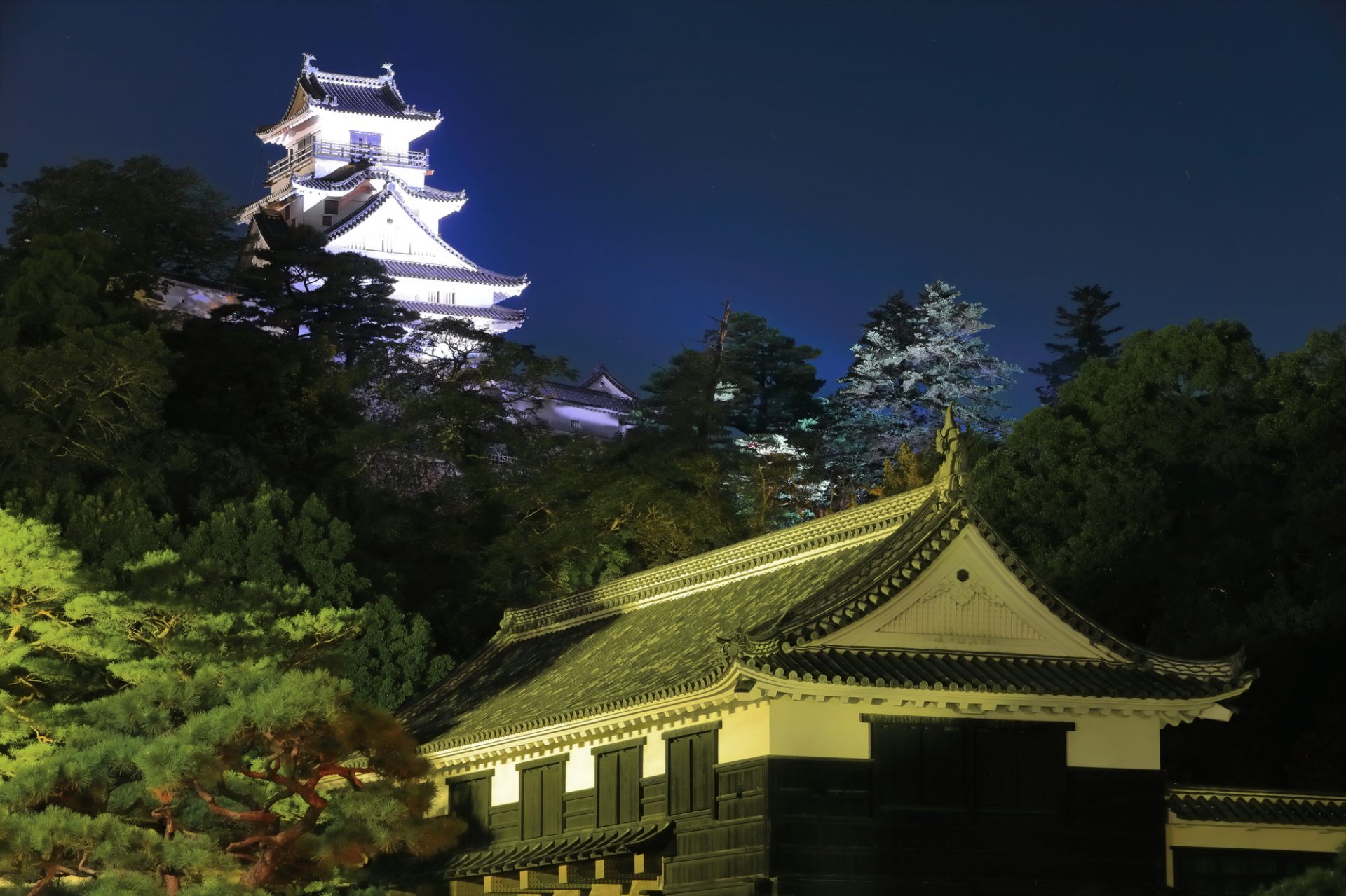 Kochi Castle - Must-See, Access, Hours & Price | GOOD LUCK TRIP