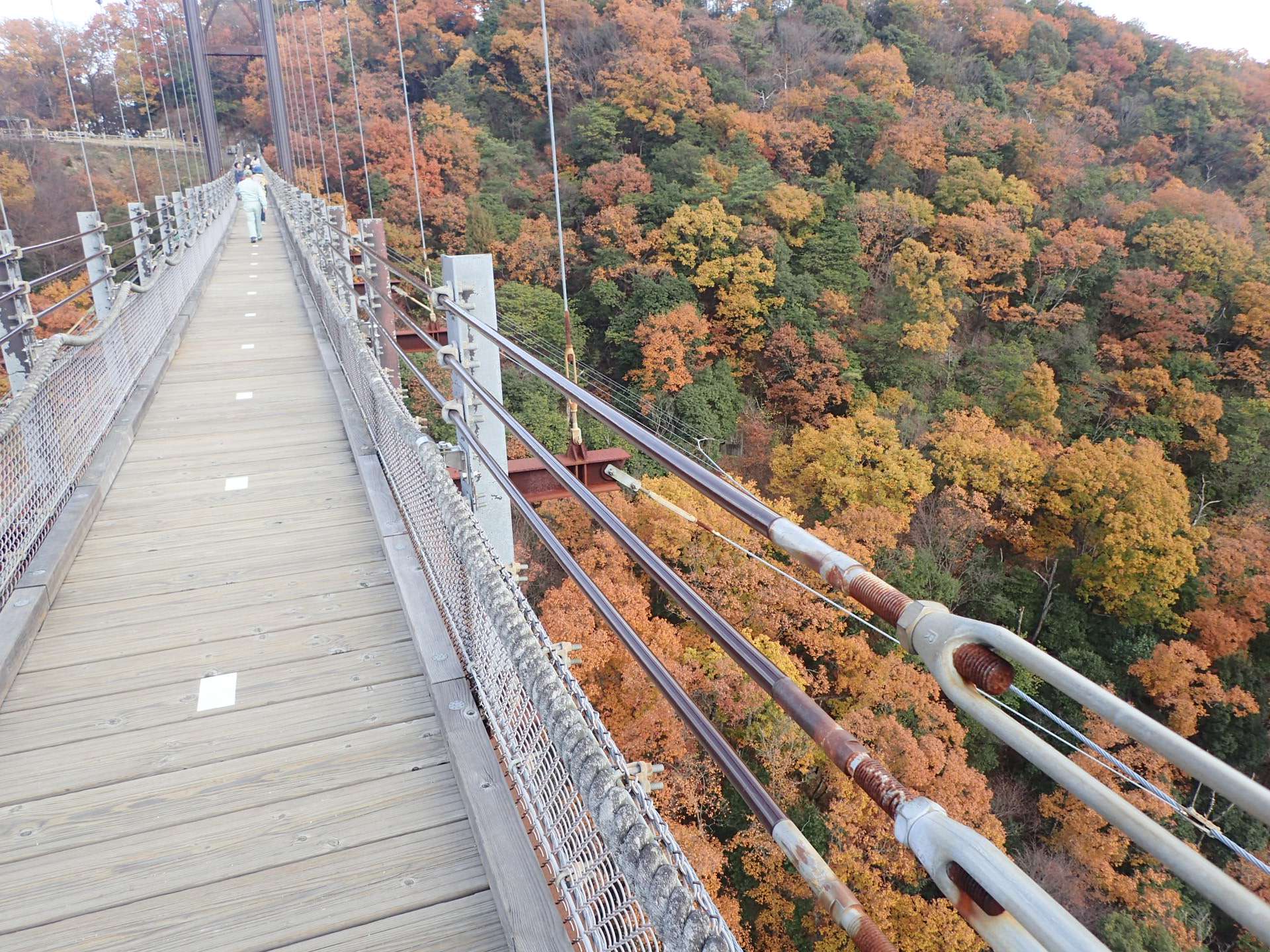 Osaka Prefectural Forest Hoshida Park "Hoshi no Buranko” - Must-See ...