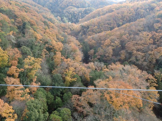 Osaka Prefectural Forest Hoshida Park "Hoshi no Buranko” - Must-See ...