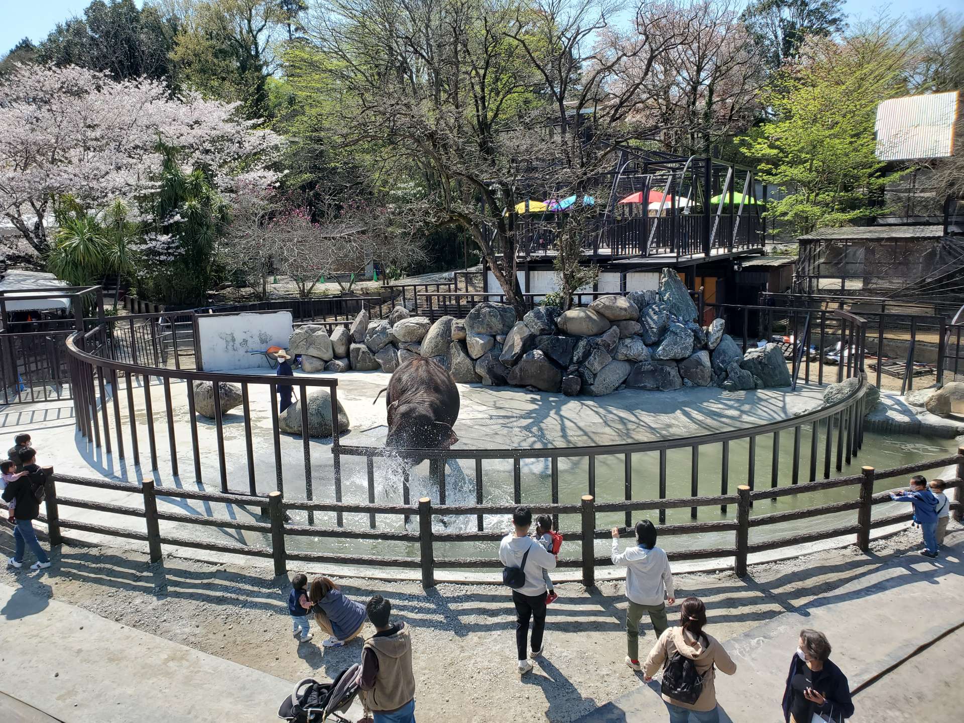ICHIHARA Elephant Kingdom - Must-See, Access, Hours & Price | GOOD LUCK ...