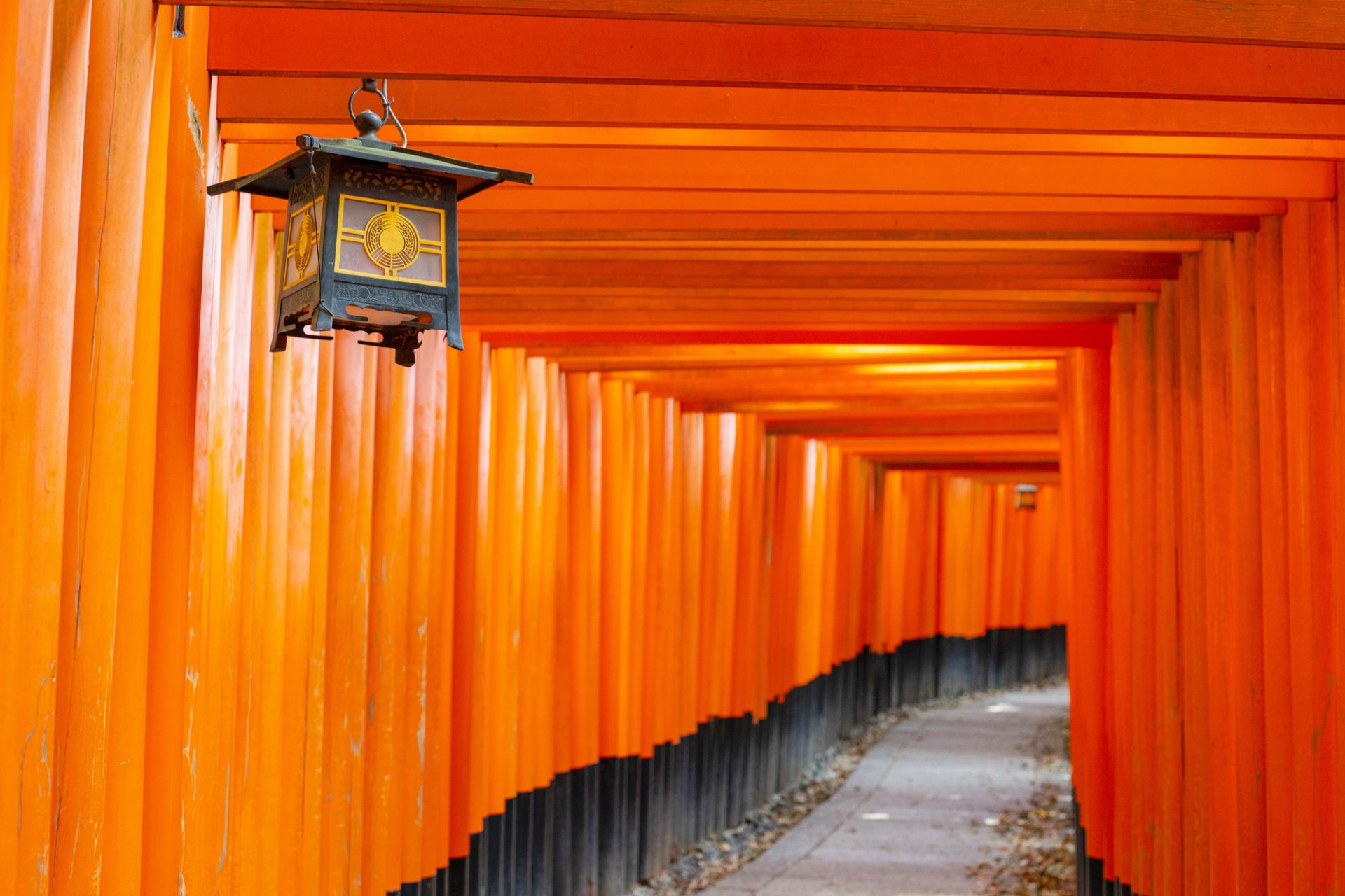 Fushimi Inari Taisha - Must-See, Access, Hours & Price | GOOD LUCK TRIP