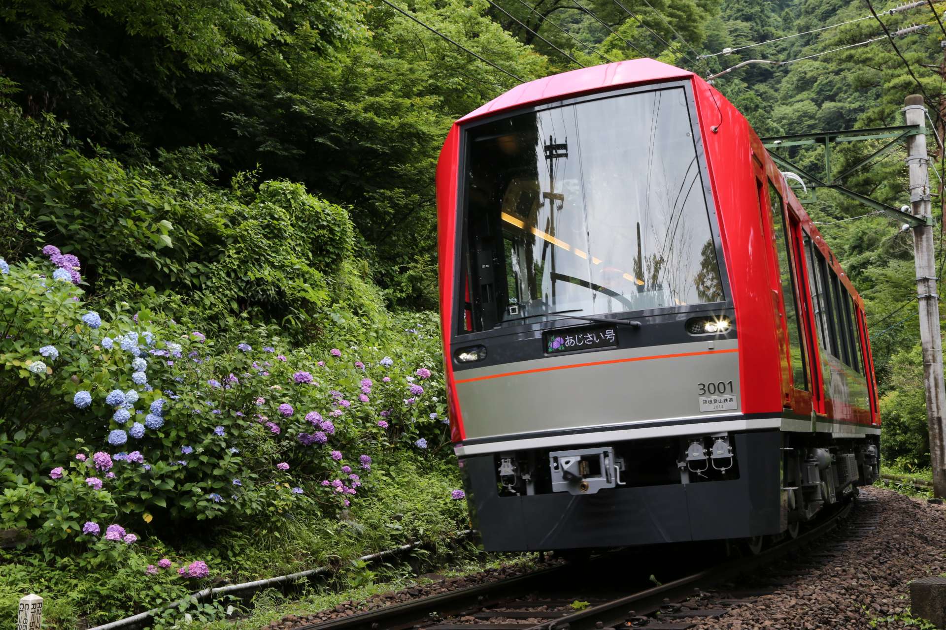 Hakone Tozan Railway / Hakone Tozan Cable Car | GOOD LUCK TRIP