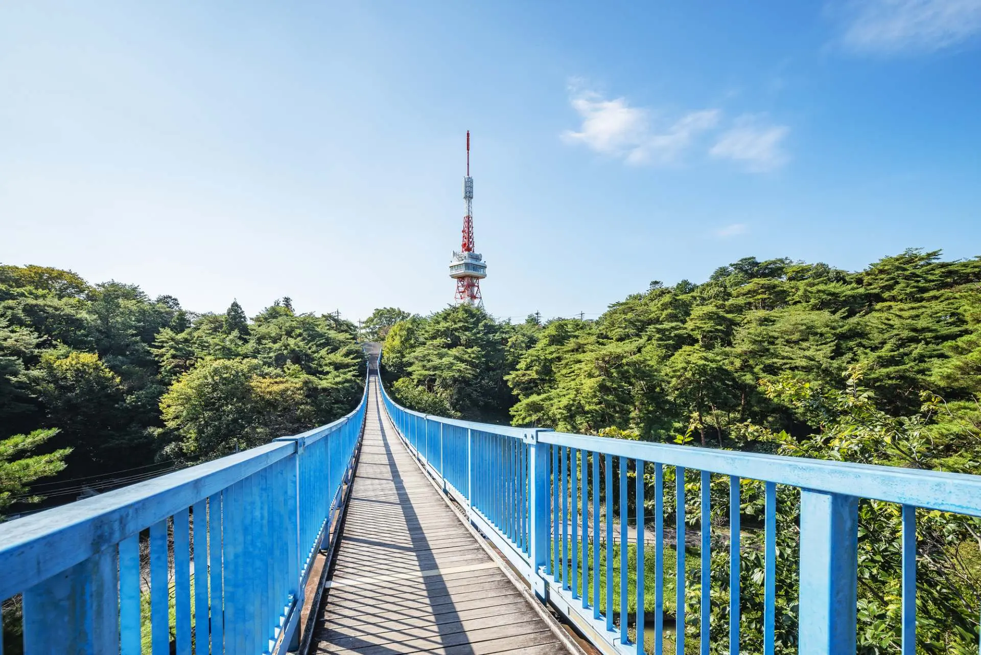 Hachimanyama Park - Must-See, Access, Hours & Price | GOOD LUCK TRIP