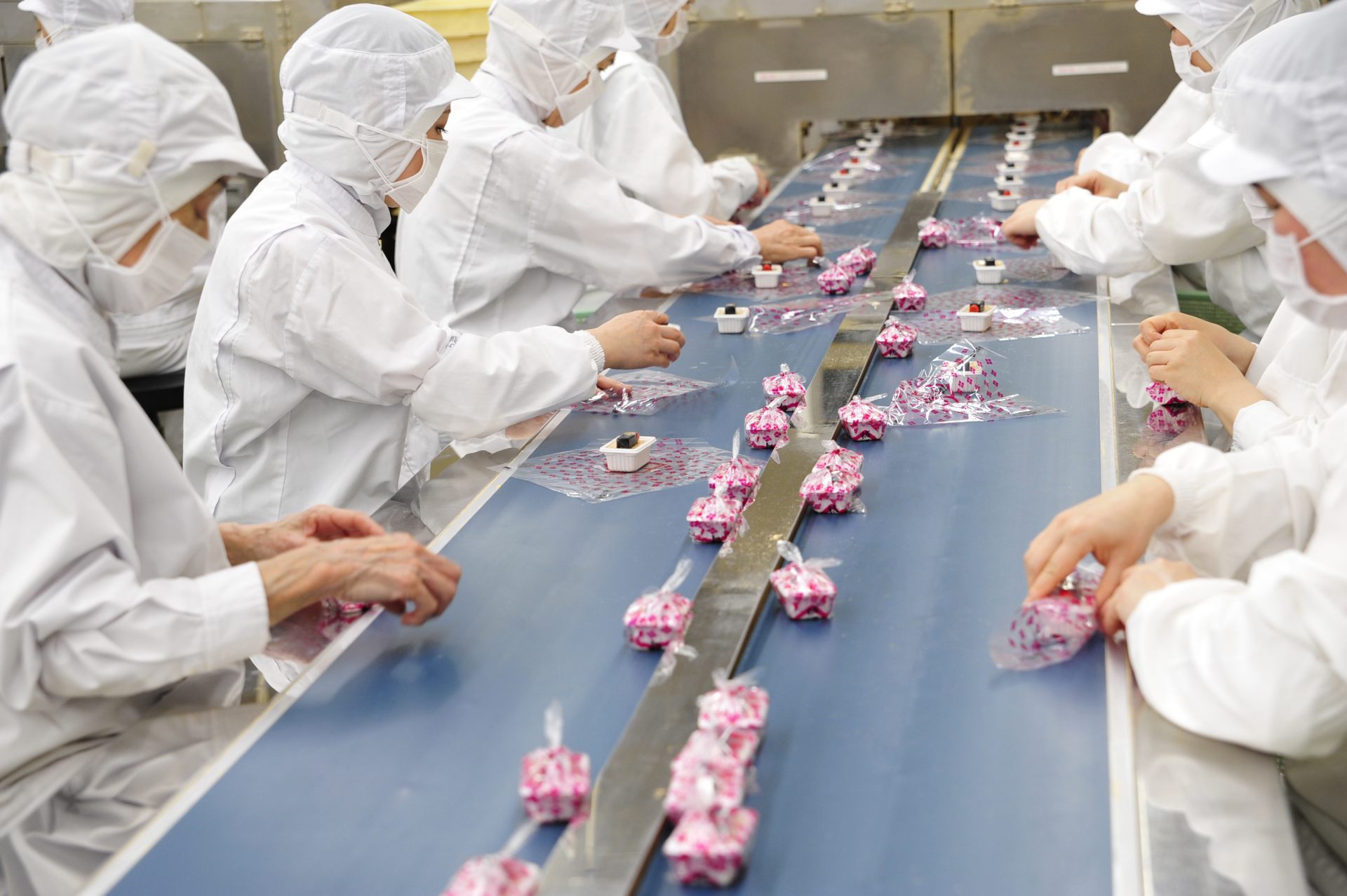 Kikyou Shingen Mochi Factory Theme Park - Must-See, Access, Hours ...