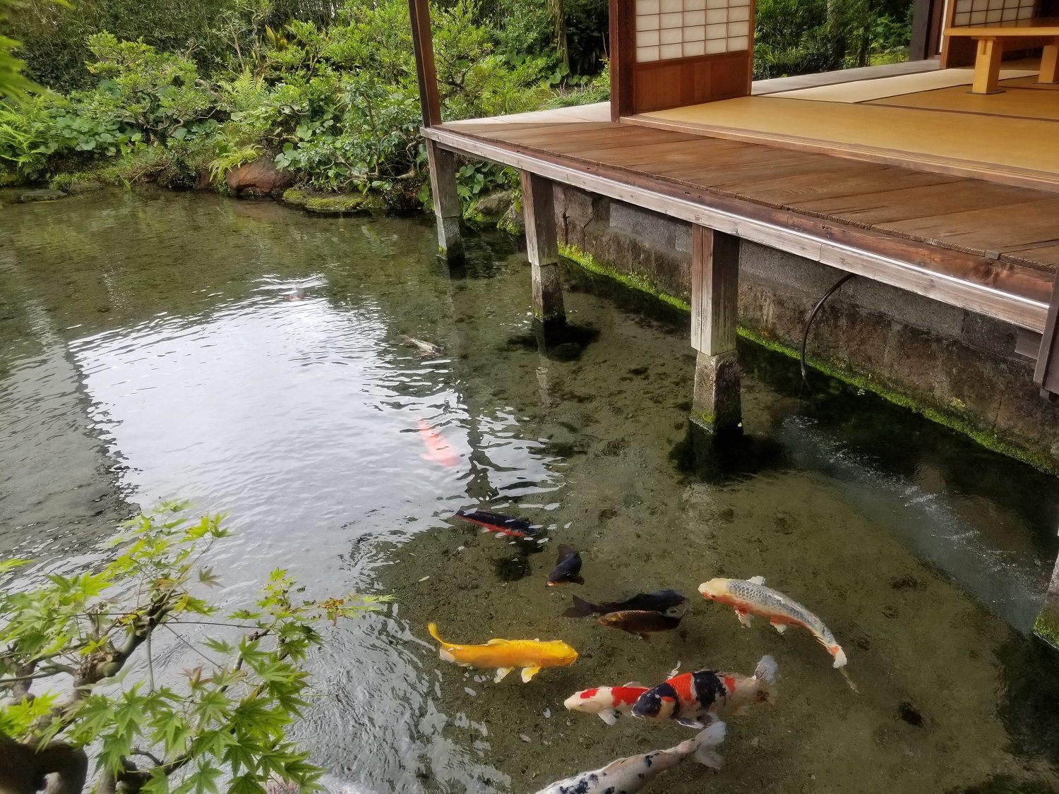 Spring Water Garden Shimeiso - Must-See, Access, Hours & Price | GOOD ...