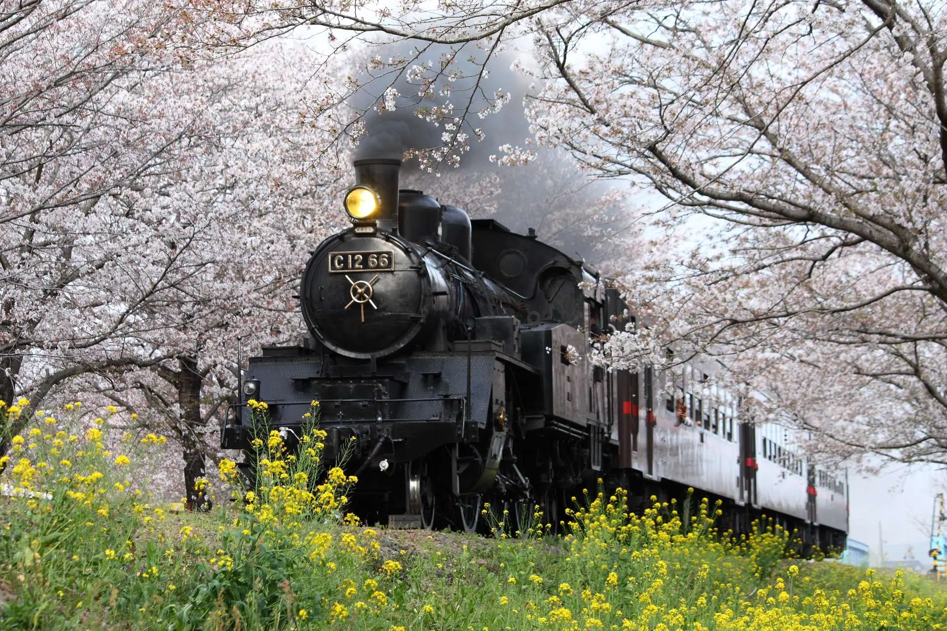 Moka Railway - Must-See, Access, Hours & Price | GOOD LUCK TRIP