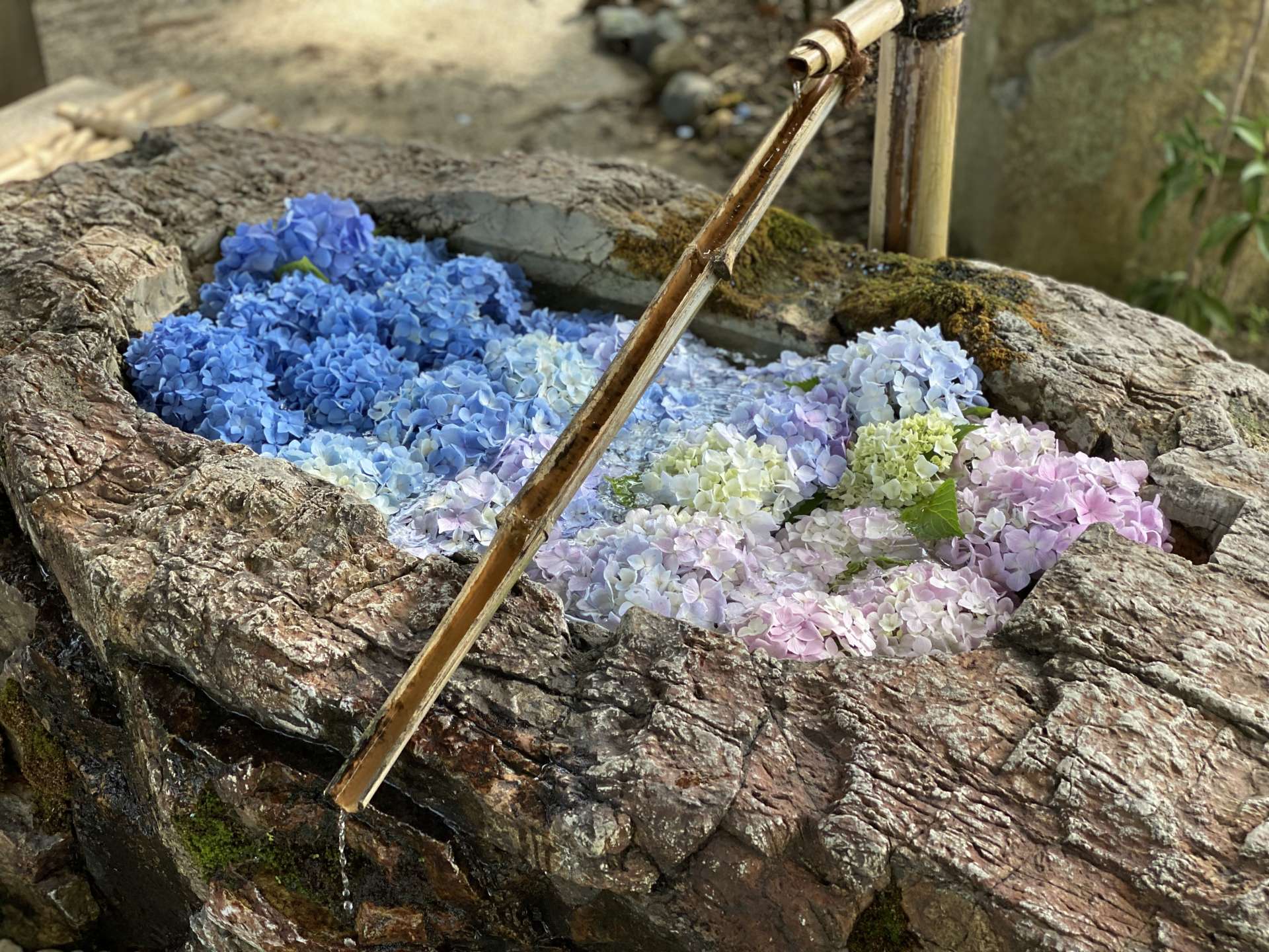 Achi Shrine - Must-See, Access, Hours & Price | GOOD LUCK TRIP