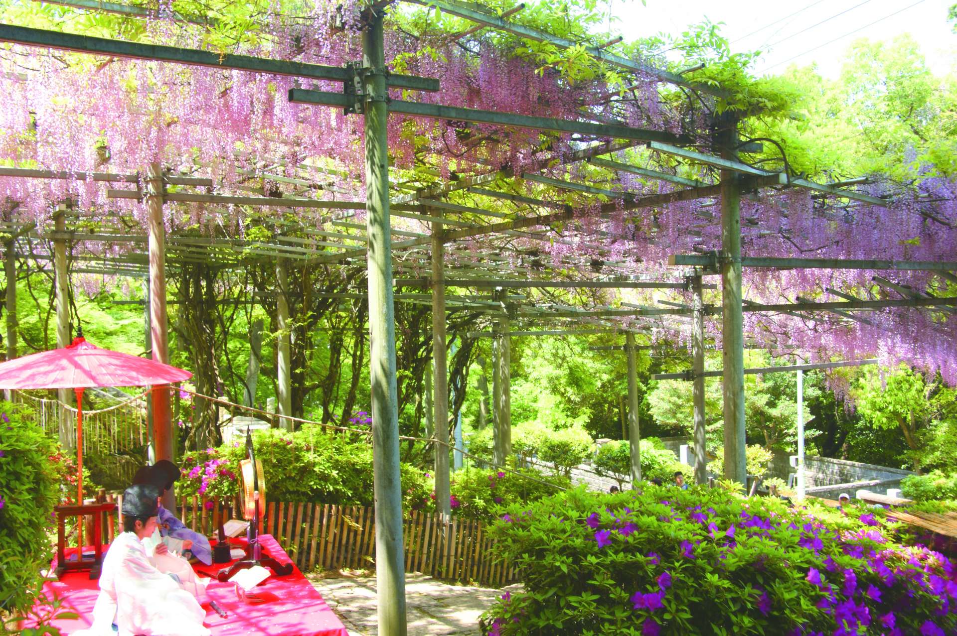 Achi Shrine - Must-See, Access, Hours & Price | GOOD LUCK TRIP