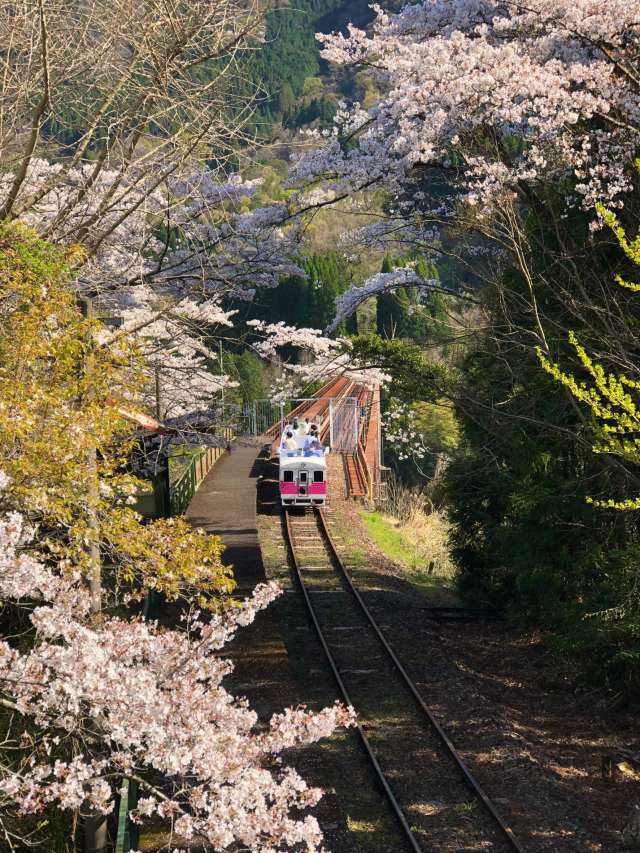 Amaterasu Railway | GOOD LUCK TRIP