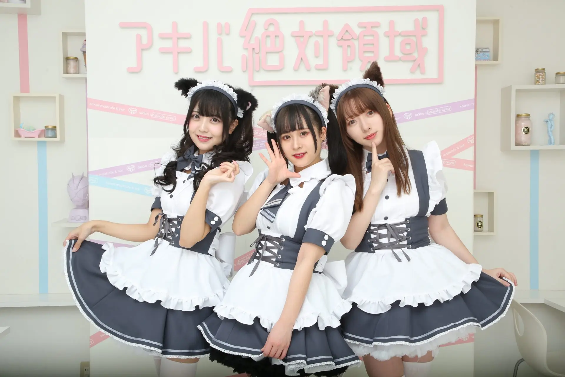 Kawaii Maid Cafe and Bar Akiba Absolute Area - What to Eat, Access ...