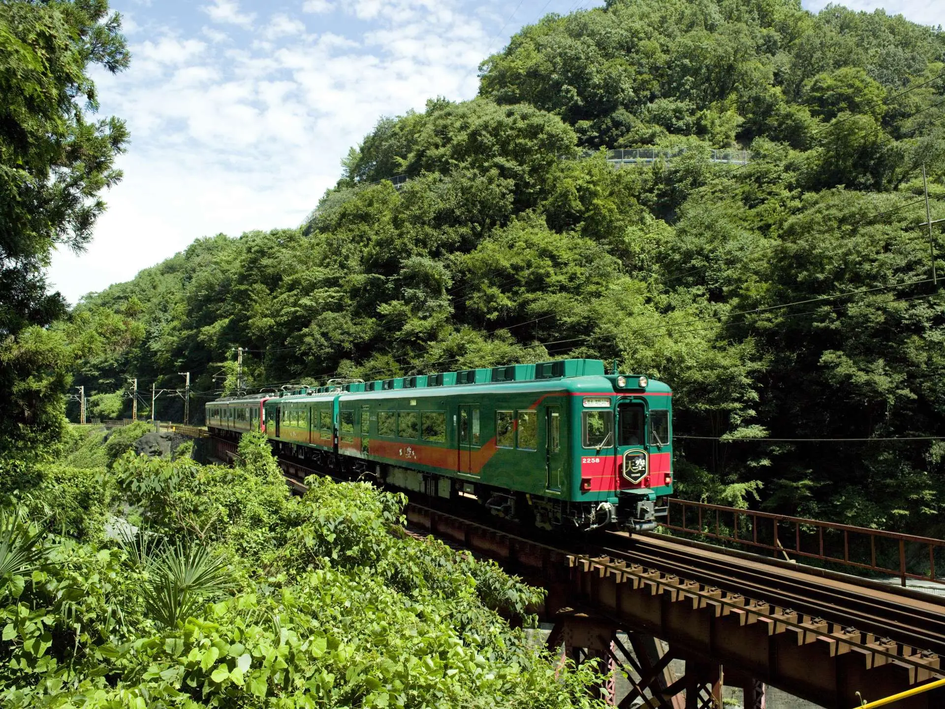 Nankai Koya Line “Koya Flower Railway” | GOOD LUCK TRIP