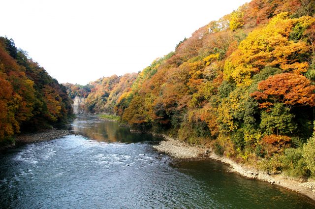 Lake Sagami - Must-See, Access, Hours & Price | GOOD LUCK TRIP