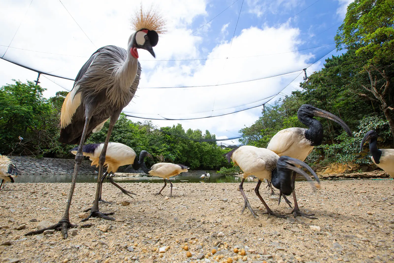 Neo Park Okinawa - Must-See, Access, Hours & Price | GOOD LUCK TRIP
