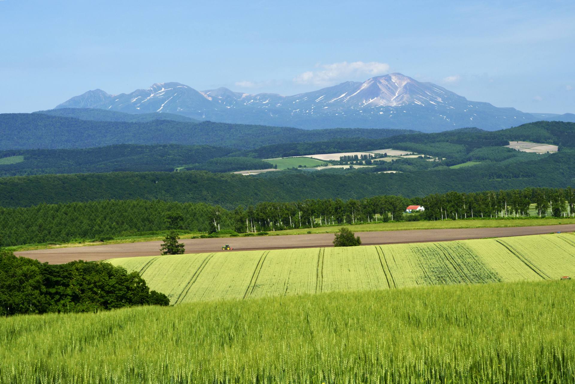 Shujitsu no Oka Hill - Must-See, Access, Hours & Price | GOOD LUCK TRIP