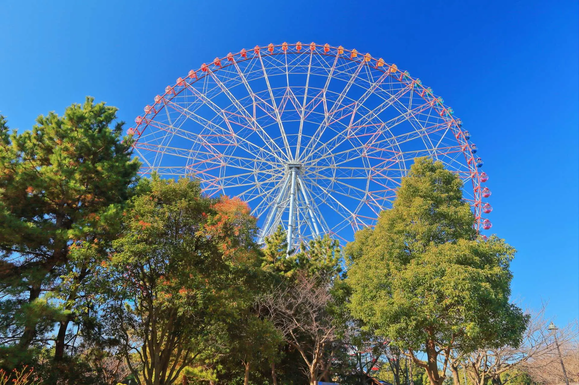 Diamond and Flower Ferris Wheel - Must-See, Access, Hours & Price ...