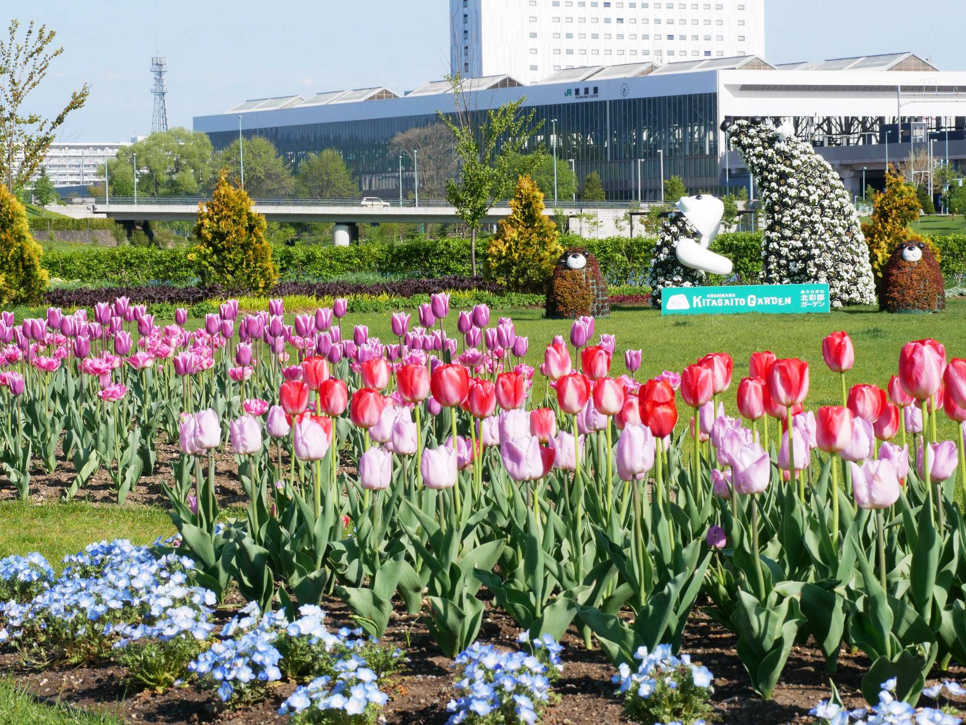 Asahikawa Kitasaito Garden - Must-See, Access, Hours & Price | GOOD ...