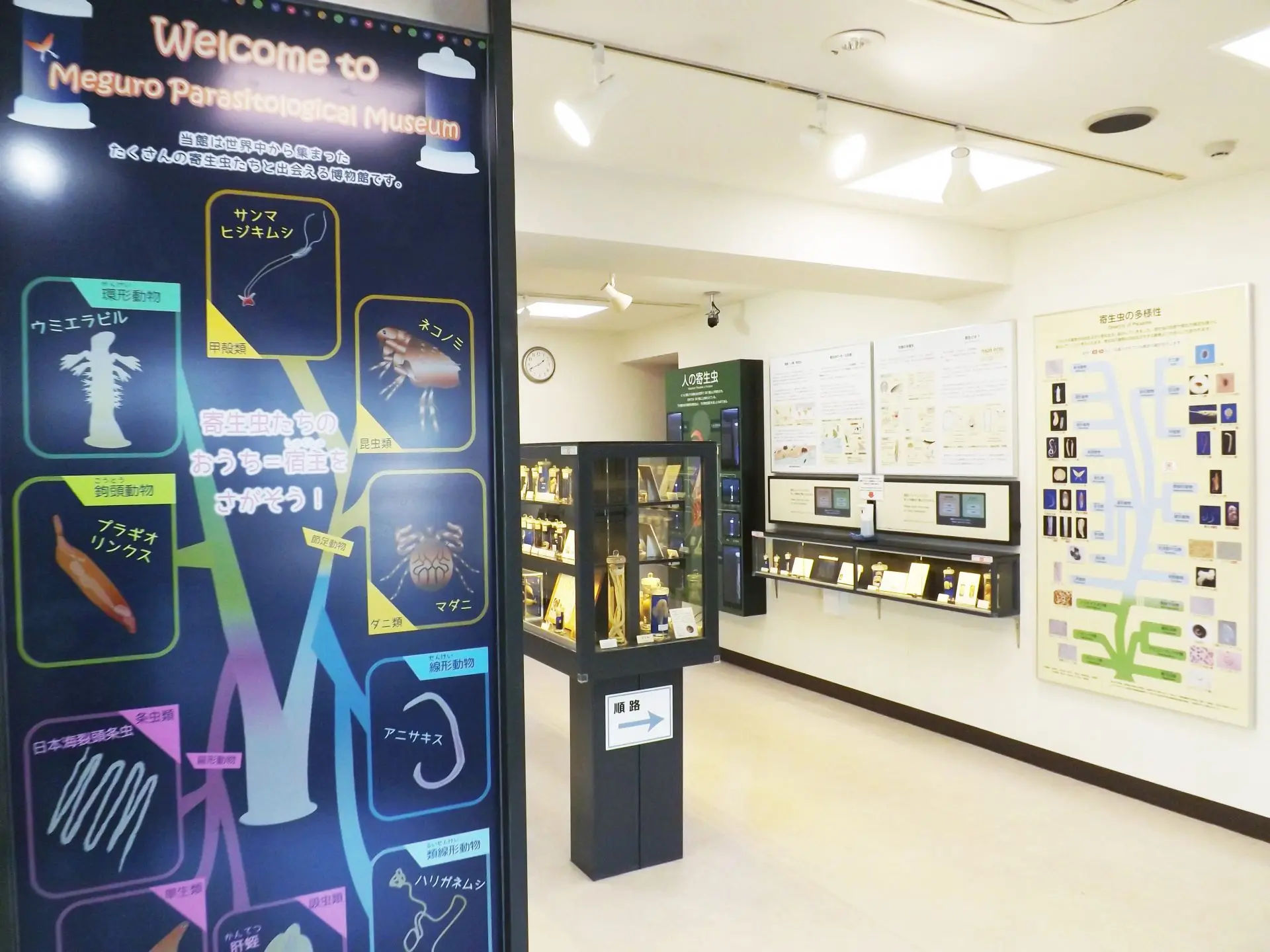 Meguro Parasitological Museum - Must-See, Access, Hours & Price | GOOD ...