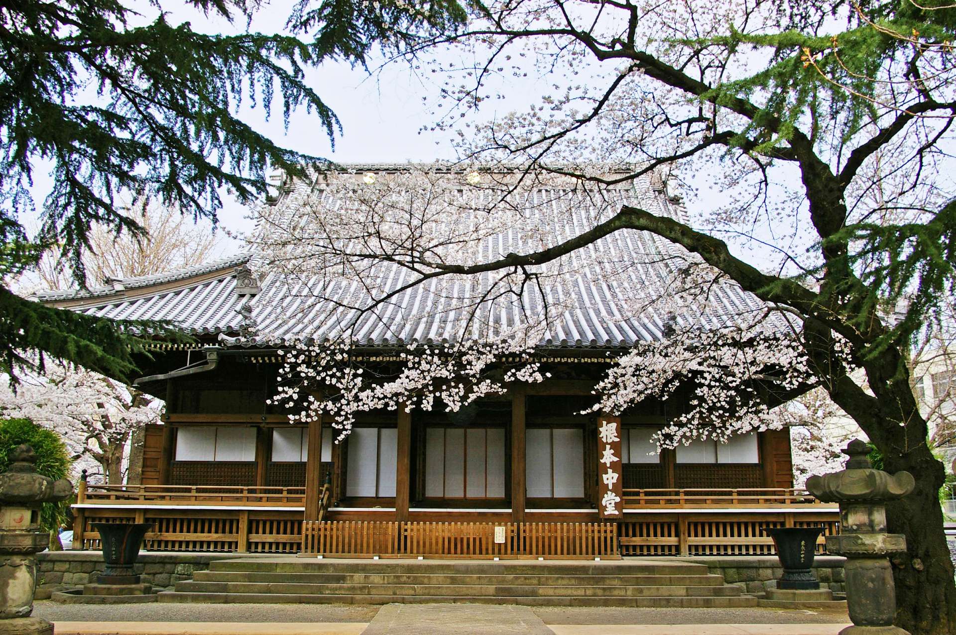 Kaneiji Temple - Must-See, Access, Hours & Price | GOOD LUCK TRIP